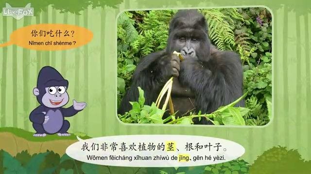 КИТАЙСКИЙ (Горная Горилла - 山地大猩猩) A1-12