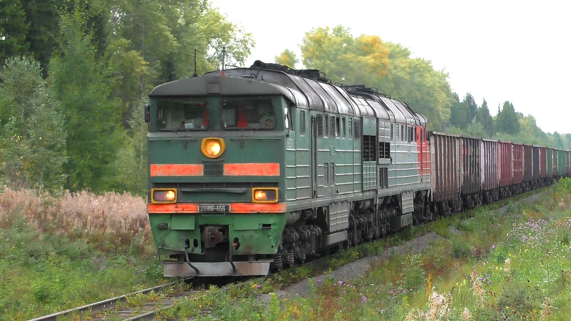 Гибрид 2ТЭ116-656 А/230 Б с грузовым поездом
