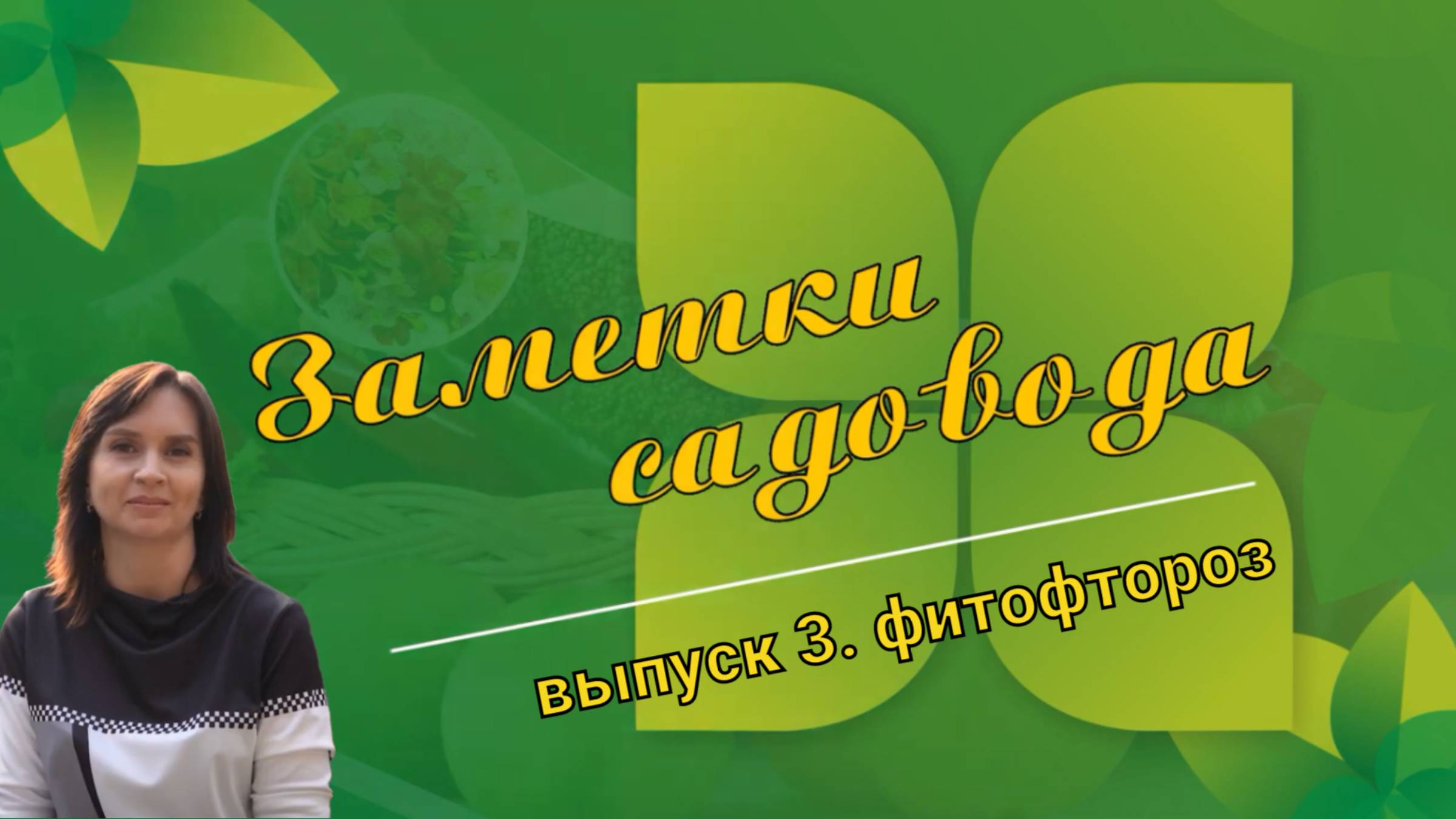 КАК ПОБЕДИТЬ ФИТОФТОРОЗ?