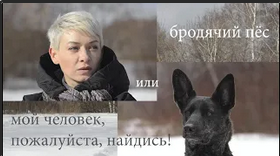 песня "Бродячий пёс или мой человек, пожалуйста, найдись!" (версия акапелла на русском языке)