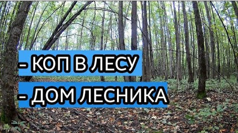 КОП В ЛЕСУ. НАШЁЛ ДОМ ЛЕСНИКА с печкой. ОДИНОЧНЫЙ ПОХОД В ЛЕС