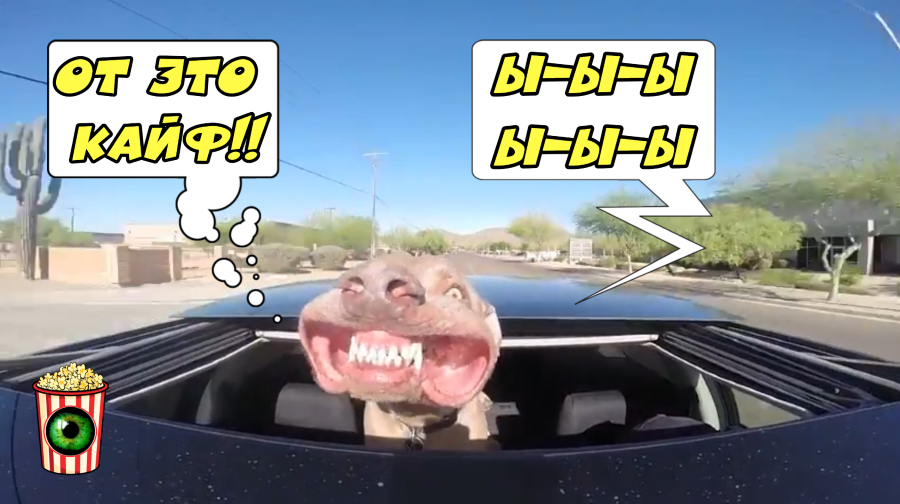 Хорошая подборка с интересностями и приколами #16