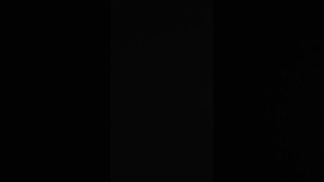 scene_output.mp4