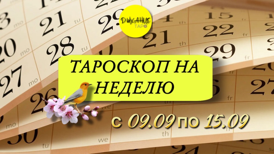 Тароскоп на неделю с 9 по 15 сентября
#тароскоп #таропрогноз