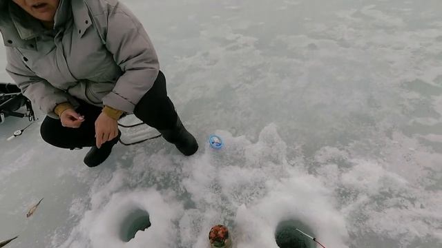Озеро Имандра  Тикгуба.mp4
