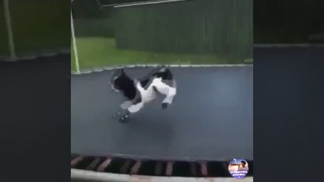 VID_20221222_215529_465.mp4