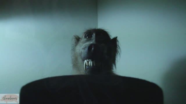 Трудно жить в зиккурате (Hard To Live In Ziggurat)