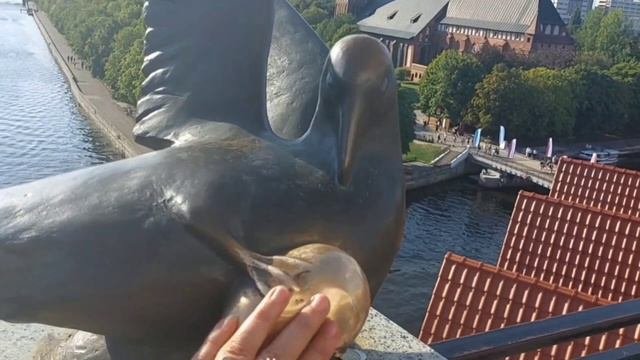 Мой отпуск. Калининград. День 6. Рыбная деревня и смотровая площадка на башне _Маяк_.