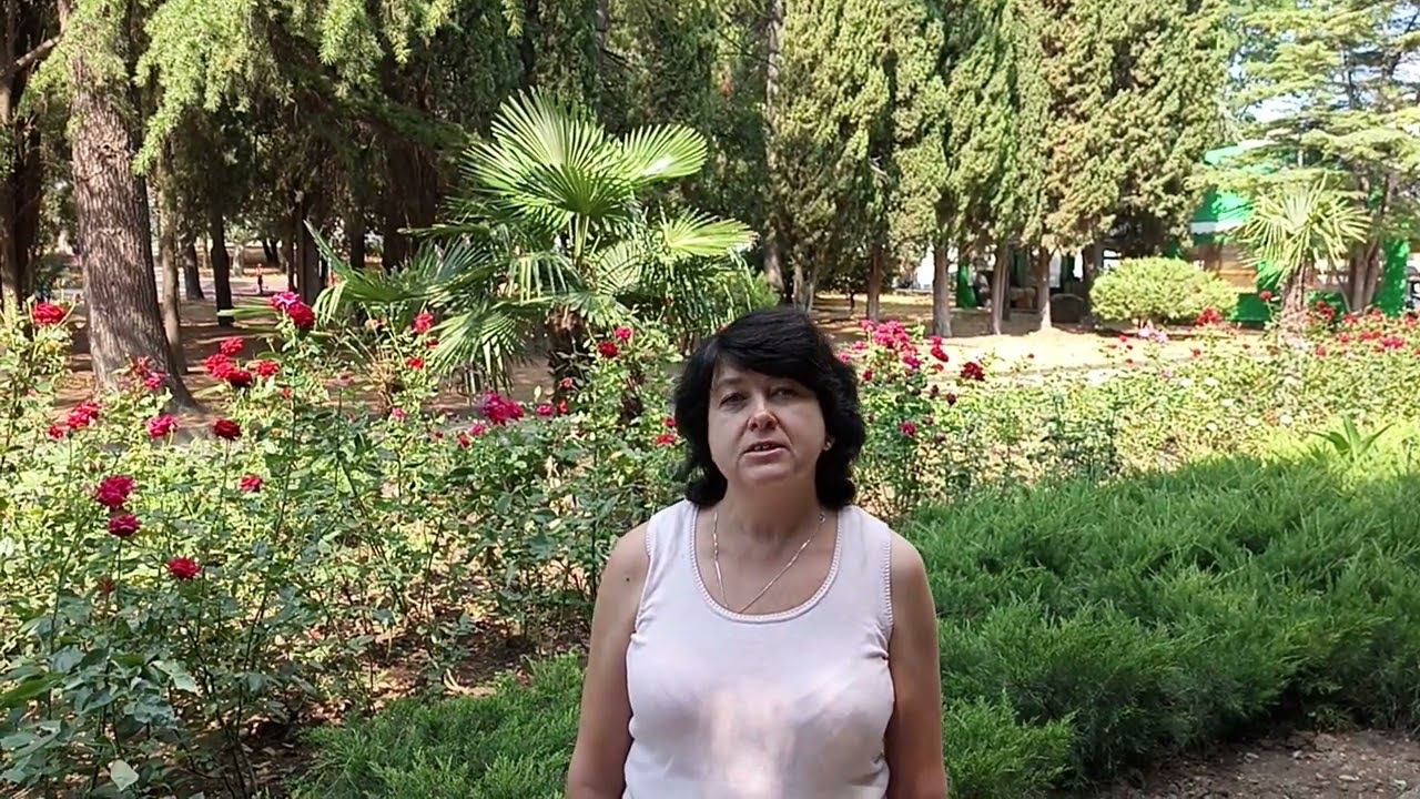 Поздравления от МБУК Алуштинская ЦБС  Детская городская библиотека