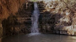 Заповедник Эйн Геди. Юг Израиля. Водопад и дикие животные.