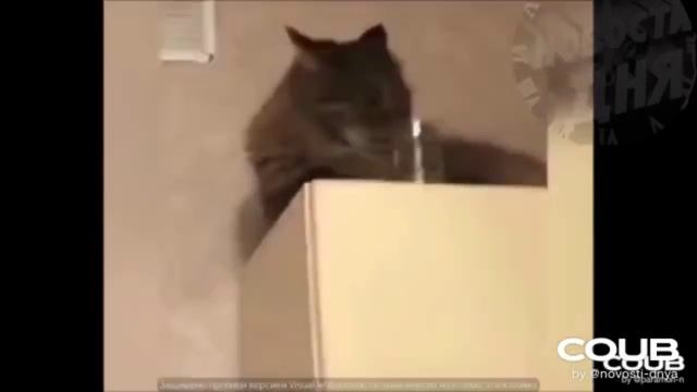 Ор выше Гор-2
