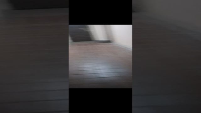 VID_20240825_112959.mp4