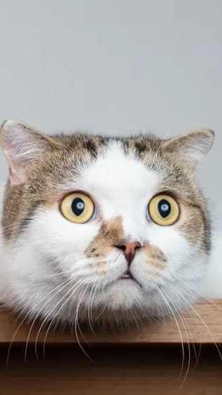 video test222
Hhhhhjsksksj