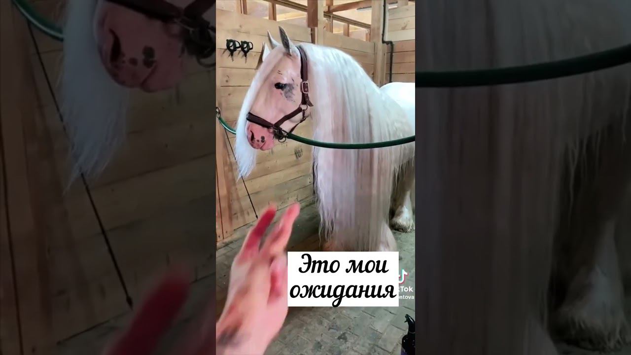 Семейная жизнь