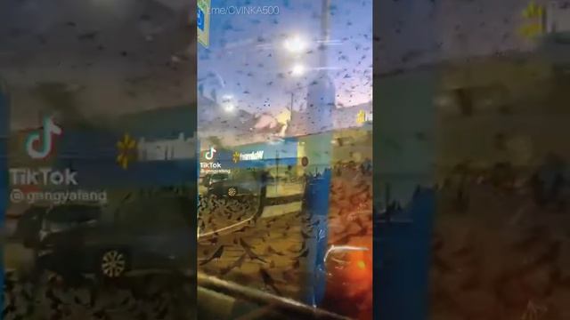 Знаки Киев