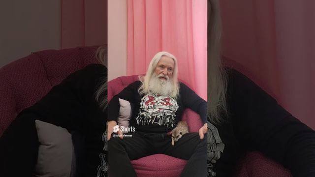 Любовь какая она есть