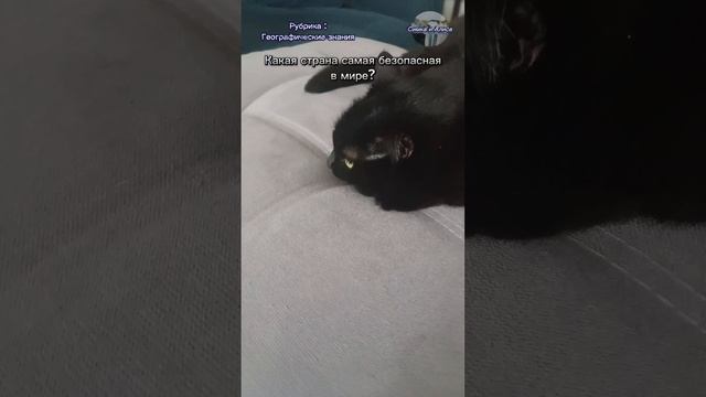 Географические знания 57 часть, вопрос : Какая страна самая безопасная в мире? |Симка и Алиса Rutube
