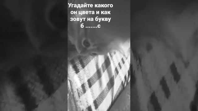 ##########❣️❣️💯❤😳 угадай имя 1 б?????? с