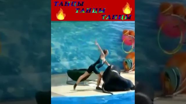 Танец с мокрым кавалером
