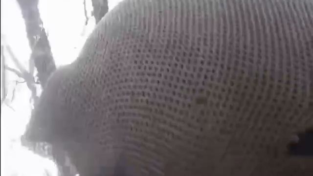 Ранение грузинского наёмника. Работайте братья!