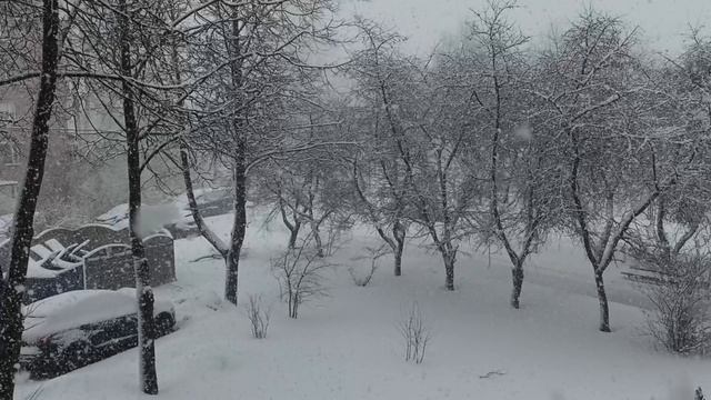 Санкт-Петербург 5 марта. Зима не сдаётся . На улице красота.