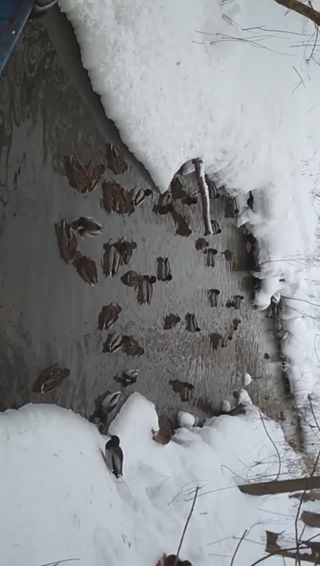 2019.02.14   _110708.