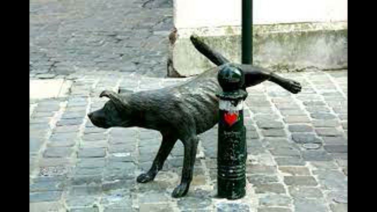 Шнобелевская премия 2015