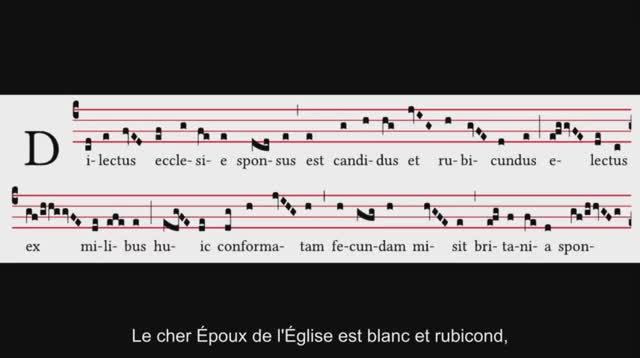 Dilectus Ecclesiae Sponsus