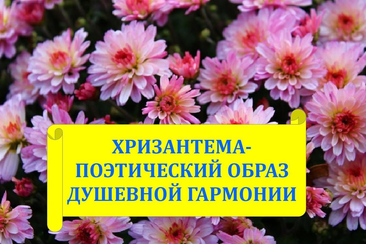 Хризантема - поэтический образ душевной гармонии. Подкасты из серии Истории древности
