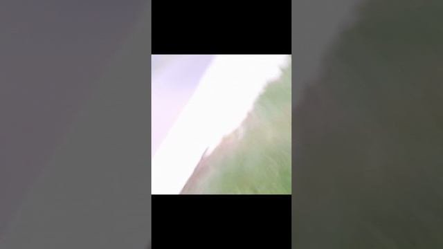 3 часть гуляю с лп ^^