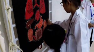 Regency Little Doctor 2018
