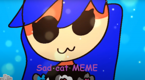 Sad cat meme [ Flipaclip]