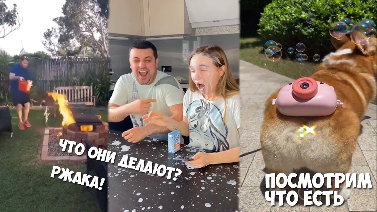 Топ смешных видео про животных и людей. Пранки и просто милое видео