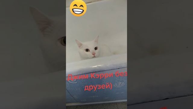 #смешной#юмор#смех#рекомендация
