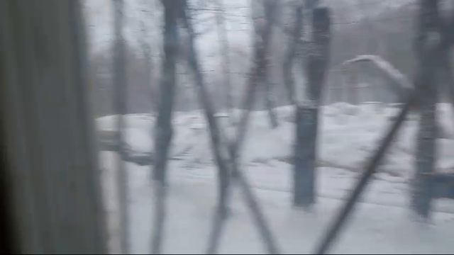 Осмотр квартиры № 111