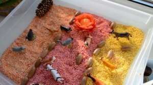 Сенсорная коробка "Осень" . Sensory box Autumn