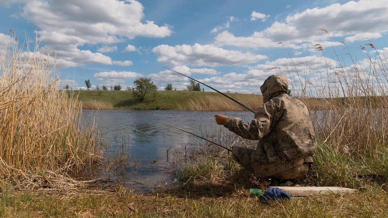 Карась на удочку, рыбалка на пруду в мае