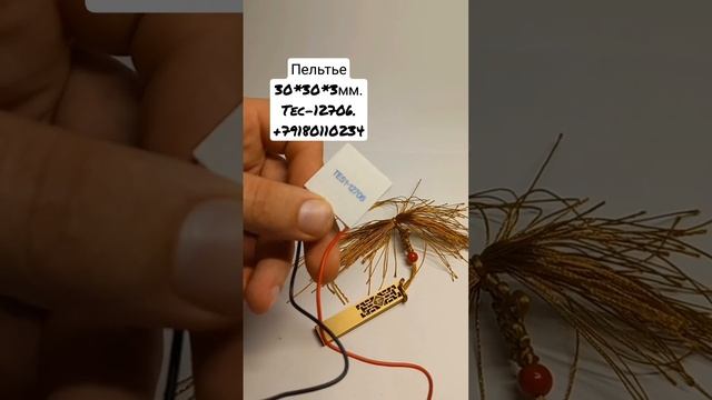 Элемент Пельтье 30_30_3 мм. Tec1-12706 для диодного лазера 30 на 30 мм и 6 ампер.