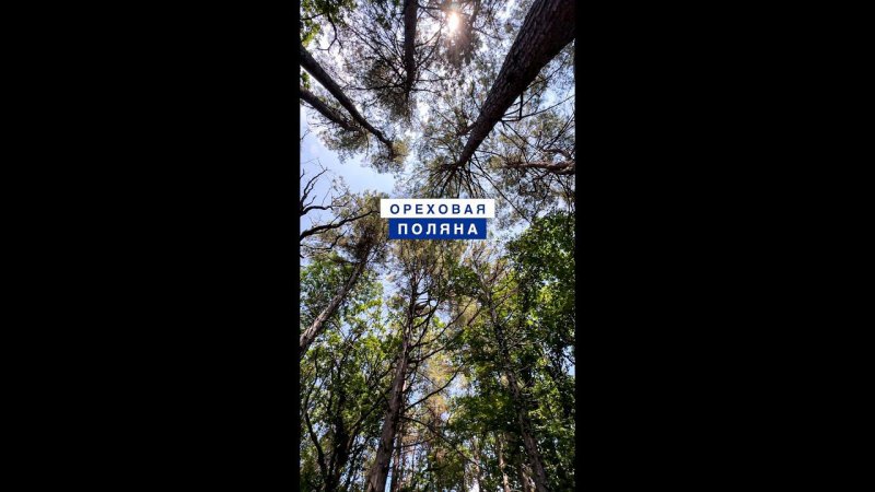 Ореховая поляна в поселке Лазаревское, классное место для фотосессий.