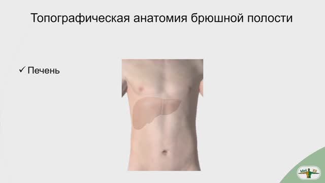Топография ПЕЧЕНИ