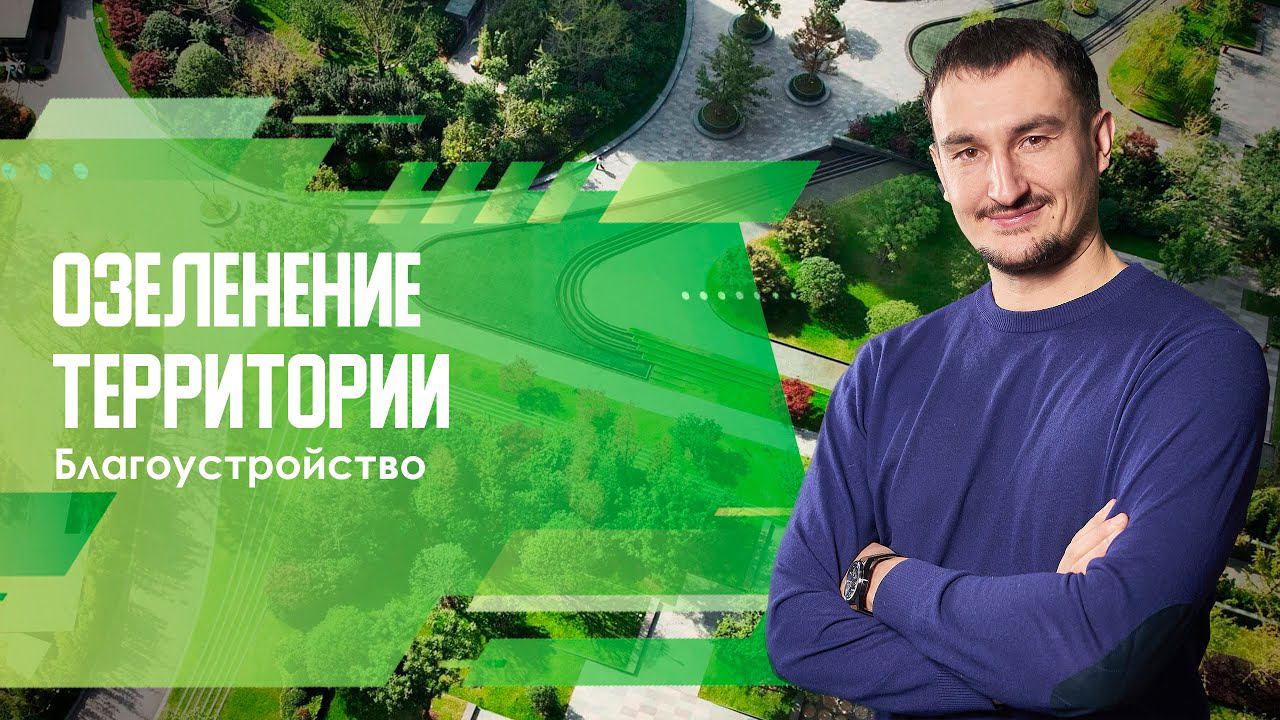 Озеленение территории