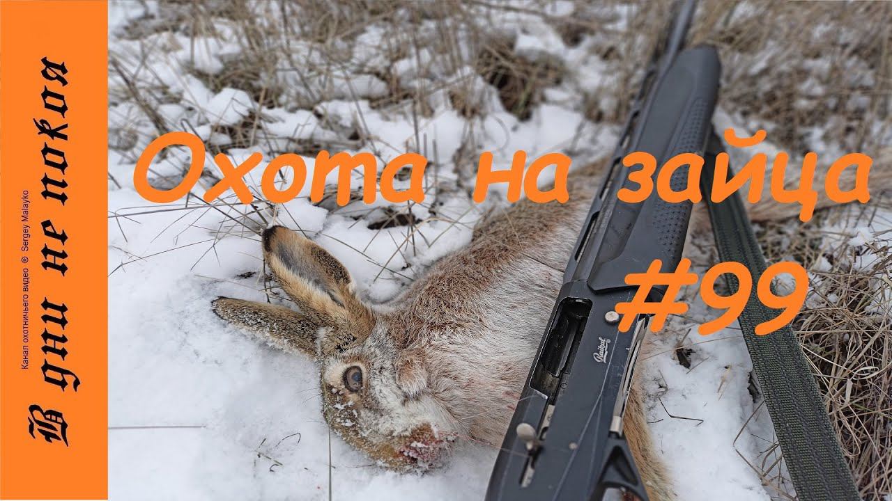 Охота на зайца. Выпуск № 99 18+