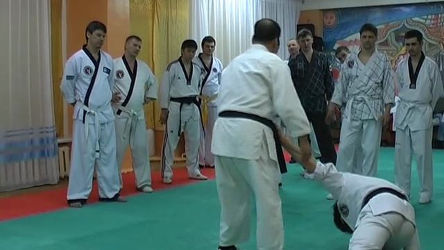 6. 1 семинар по хапкидо в России ГМ Ким Нам Джи - Москва 2008 г