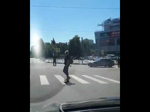 Мама утка переводит утят через пешеходный переход в Ивантеевке
