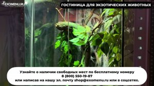 Гостиница для экзотических животных EXOMENU