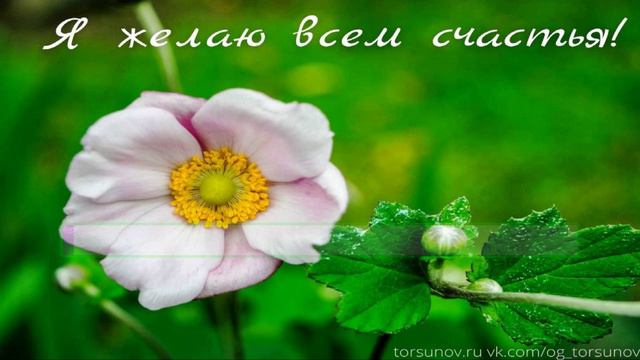 Вероніка Кучма — Черемшина — караоке