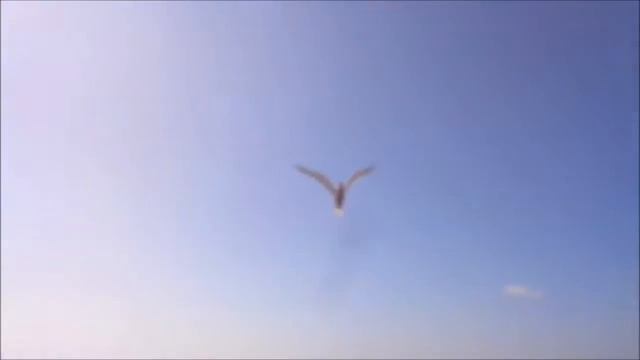 Там, где начинается Беломорканал. Карелия Ч 2.