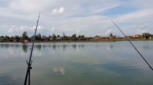 Поймали КАРПА на ДЖИГ | Платная рыбалка "ТРИ ПЕСКАРЯ", Солнечногорский район