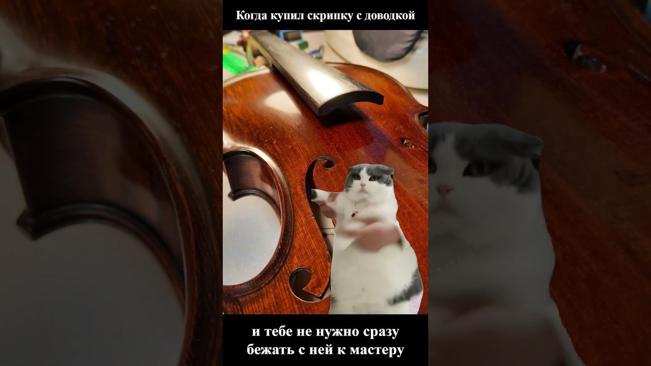 Game-changing difference. #скрипка