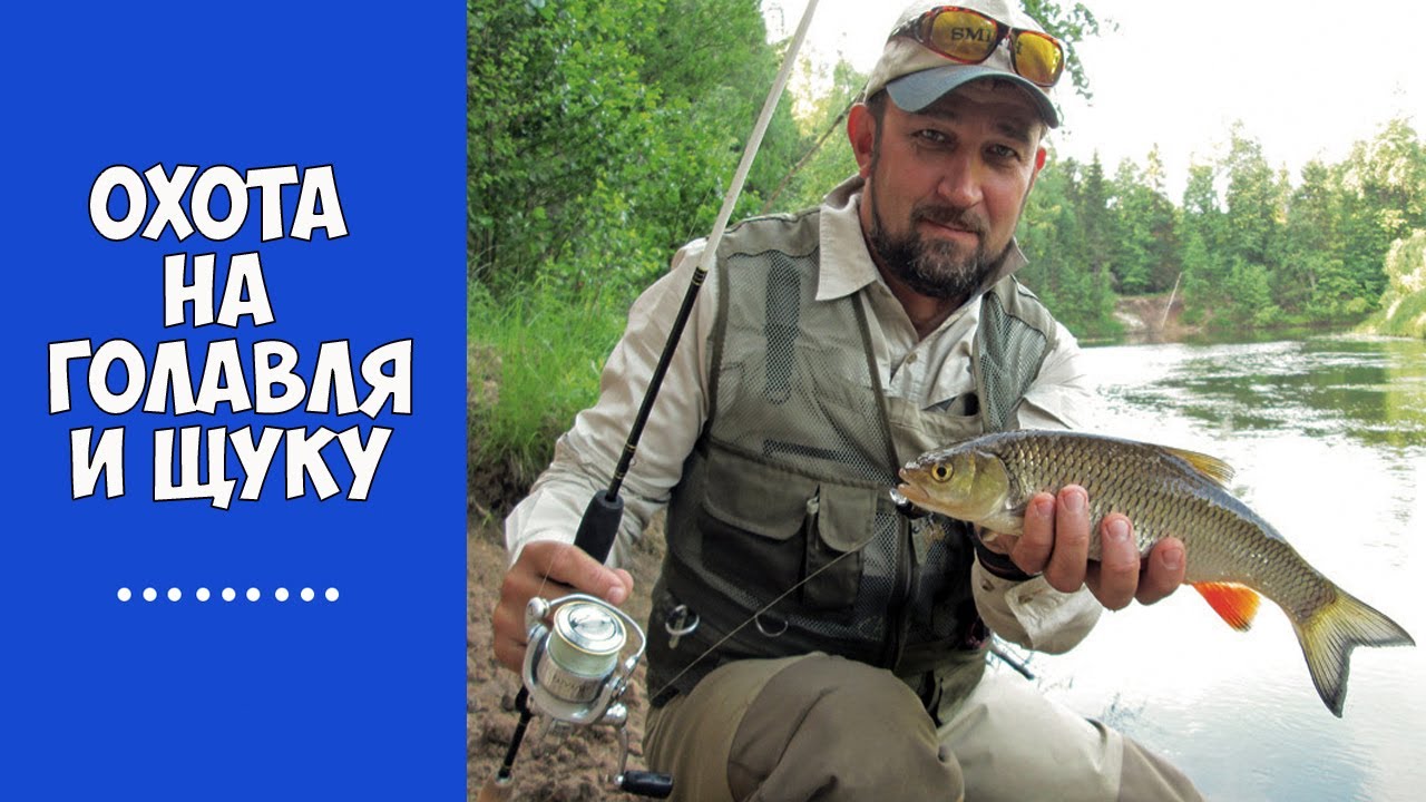 Ловля щуки и голавля на реке Керженец